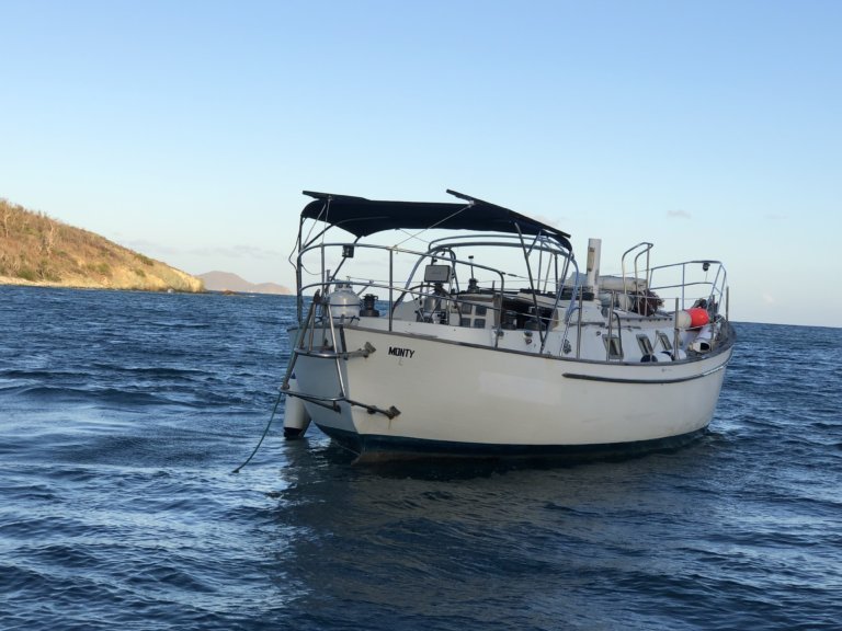 Fast Passage 39 (1983) Monty formally Named Bubbles