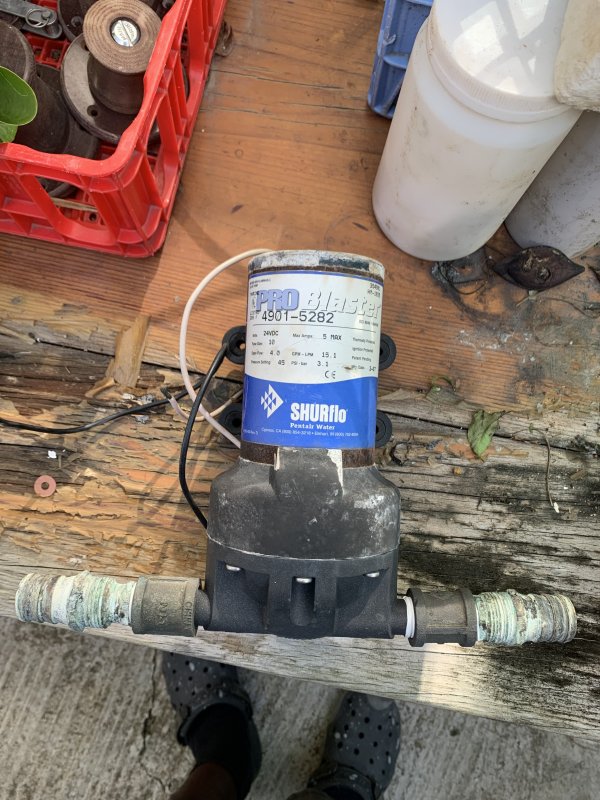 Buy Shurflo Pro Blaster Water Pump 24V #4901-5282, - Harbor Shoppers